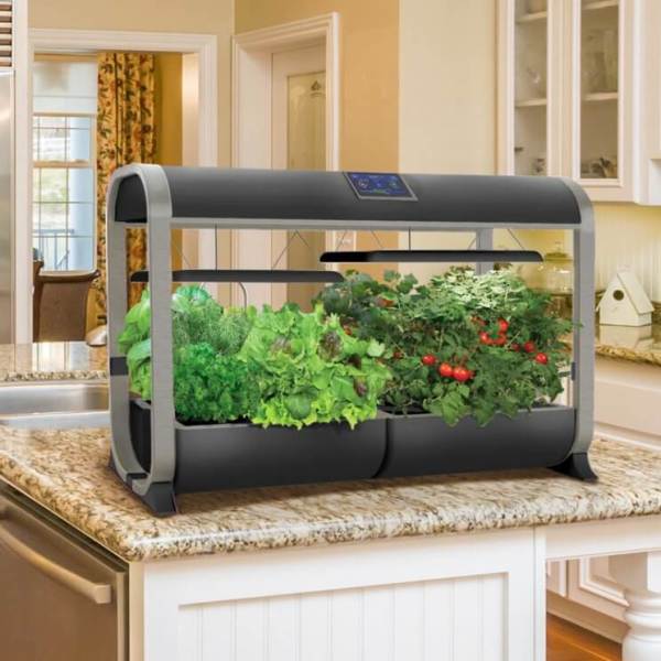 4 Grow Your Own Garden Kits to Make Quarantine Gardening Easy - Organic ...