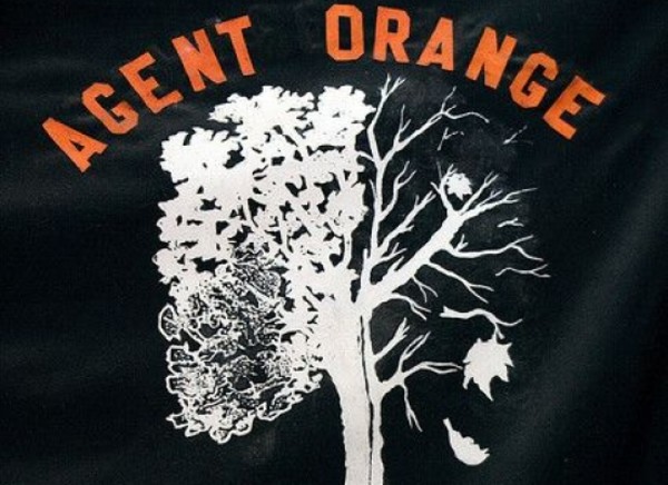 The Return of Agent Orange? 2,4-D Steps in Where Monsanto's Roundup ...