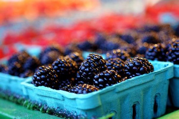 21 Ways to Enjoy Summer Berries - Organic Authority