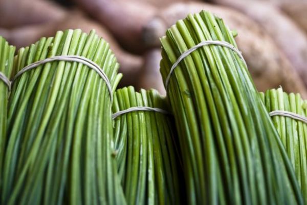 Chillin' with Chives: All About This Springtime Herb - Organic Authority