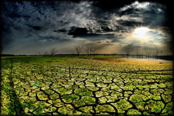 Two-Thirds of U.S. Battling Worst Drought in More than 50 Years ...