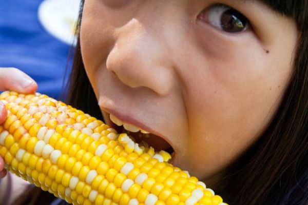 A Kick in the Gut? GMO Foods Alter Digestive Systems - Organic Authority