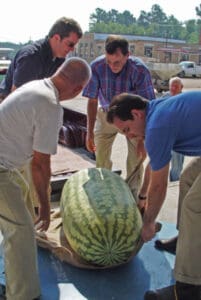 7 Biggest Natural Melons on Earth! - Organic Authority