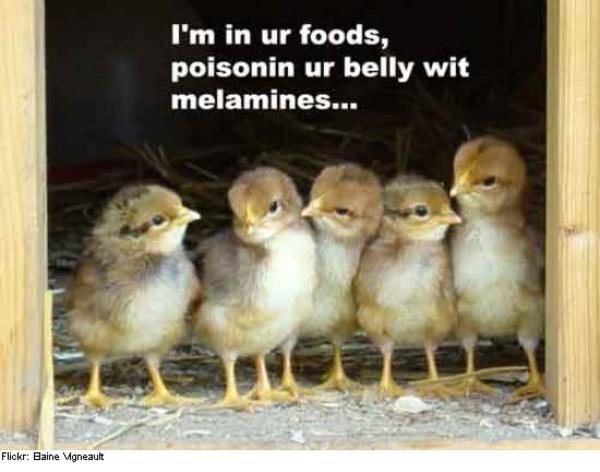 Toxic Melamine, it's Everywhere! - Organic Authority