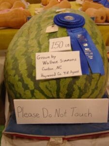 7 Biggest Natural Melons on Earth! - Organic Authority