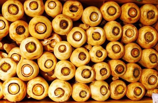 A Guide to the White Winter Vegetable: Parsnips - Organic Authority