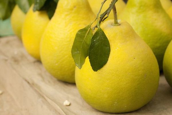 Pomelos - Organic Authority