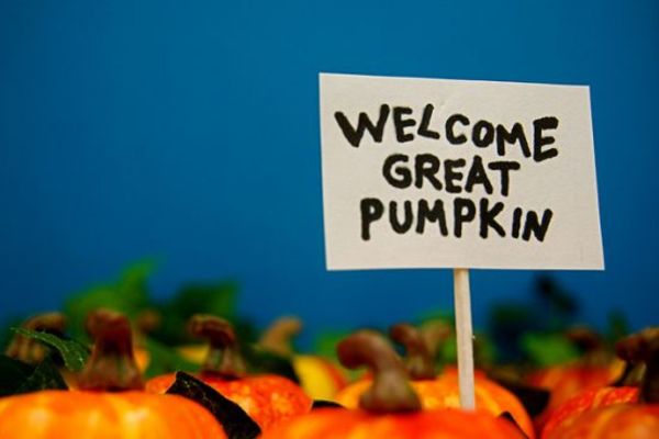 (Almost) Everything You Need to Know About Pumpkin - Organic Authority