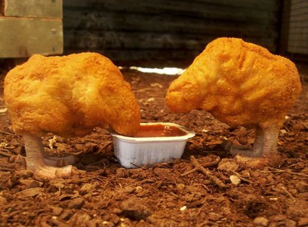 What's in Fast Food Chicken? (Hint: It’s NOT Chicken) - Organic Authority