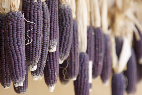 Swap Your Oatmeal for Pinole: The Energy Powerhouse Superfood - Organic ...