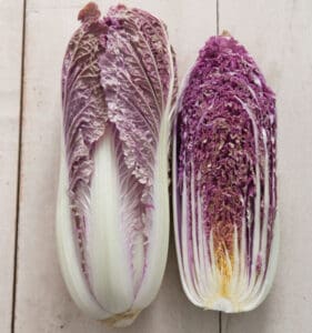 11 Fun New Herbs and Vegetables to Grow in Your Home Garden - Organic ...