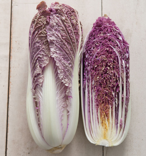 11 Fun New Herbs and Vegetables to Grow in Your Home Garden - Organic ...