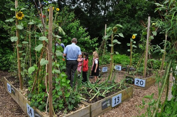 Learning Gardens: Using Outdoor Education to Teach Kids About the Earth ...