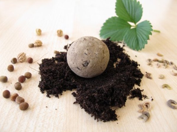 3 Super Easy Steps to Make a Seed Bomb: Rise Up, Guerrilla Gardeners ...