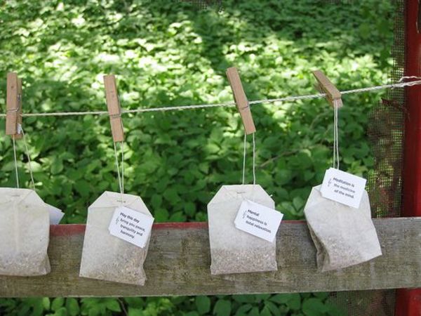 Natural and Practical Anti-Aging Remedy: Tea Bags - Organic Authority
