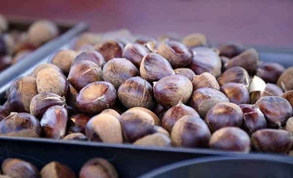 Chestnut Charlie: Providing Fresh Chestnuts through Sustainable ...