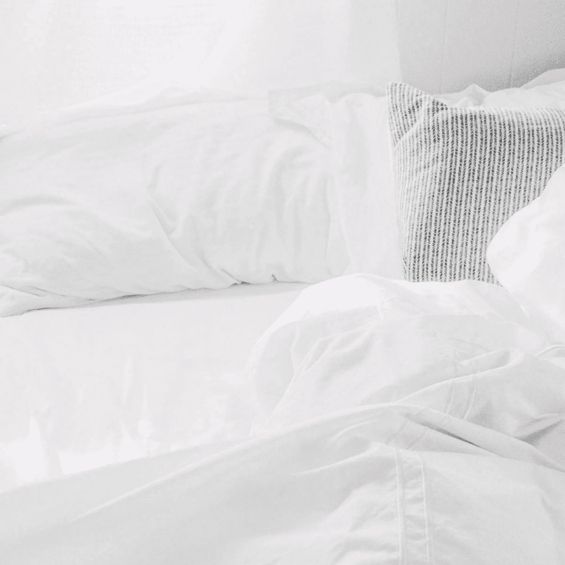 Growing Berries Guide to Cane Berries: Blackberries, Loganberries ...