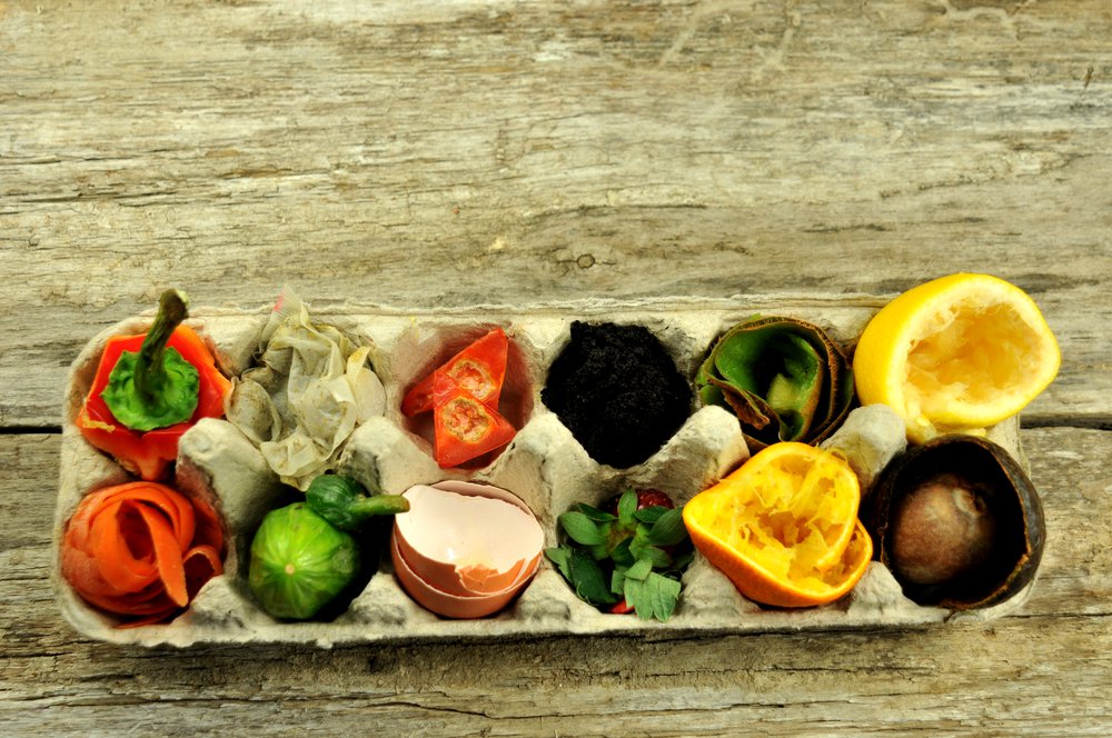 Take a Bite Out of Food Waste with the 'Waste-Free Kitchen Handbook ...