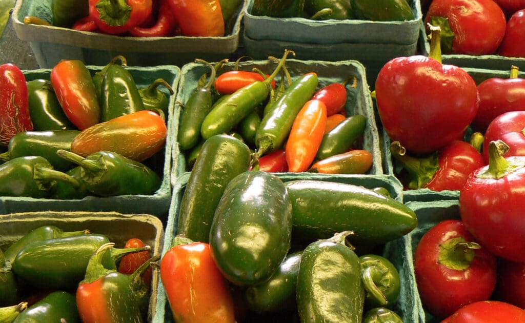 6 Hot Pepper Varieties: Spice It Up with Fresh Hot Peppers - Organic ...
