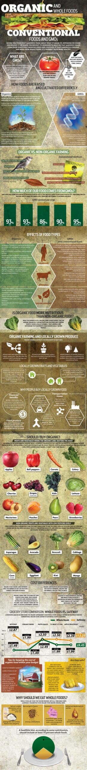 Infographic Gmo