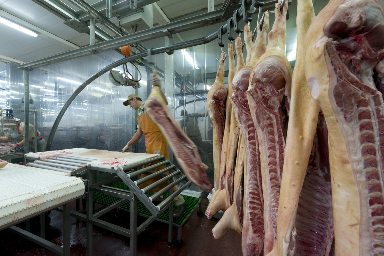 Proposal to Remove Pork Processing Plant Line Speeds Flawed, Experts ...