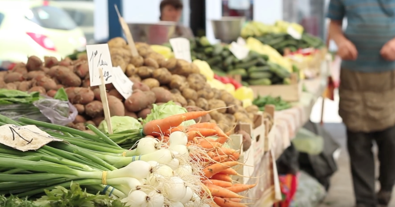 There's a TV Show About the Vegan Diet, Finally [Video] - Organic Authority