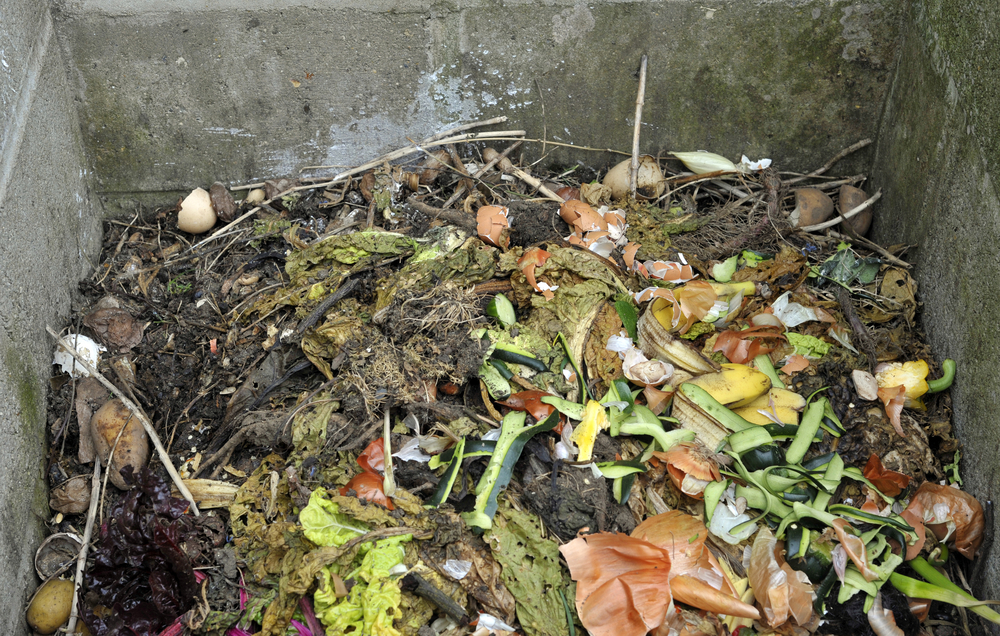 This Large-Scale Food Waste Plan Doesn't Stink - Organic Authority
