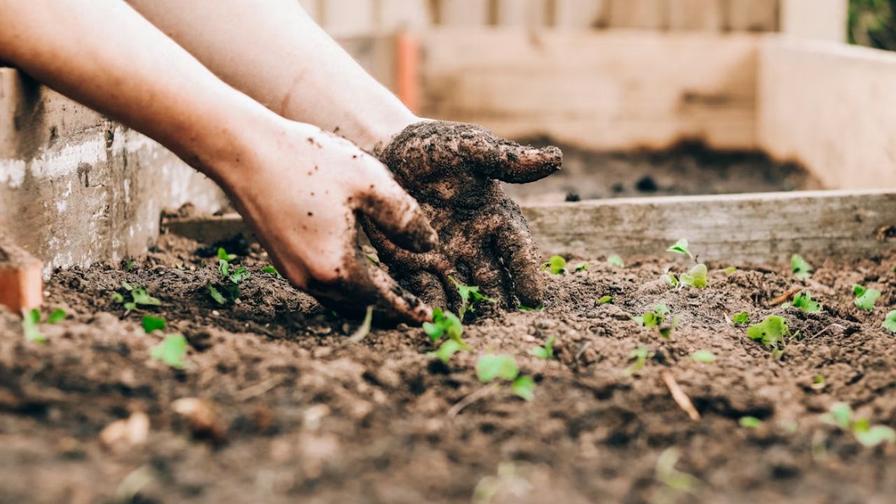 Challenge Your Foodprint: 4 Ways to Reduce Food Waste - Organic Authority